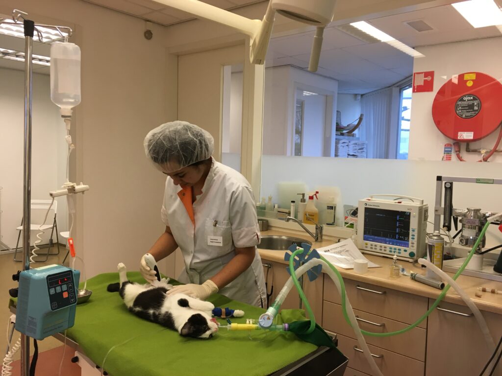 Intuberen | Dierenkliniek Culemborg